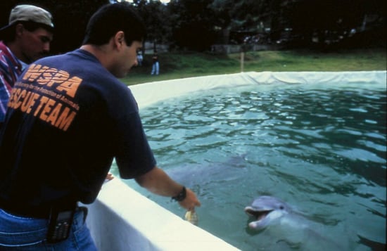 Our history | World Animal Protection UK