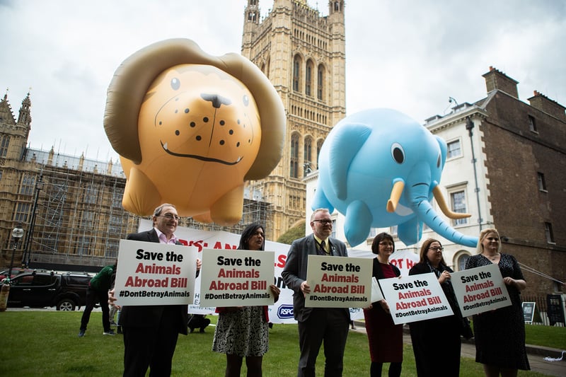 MPs join call to save the Animals Abroad Bill