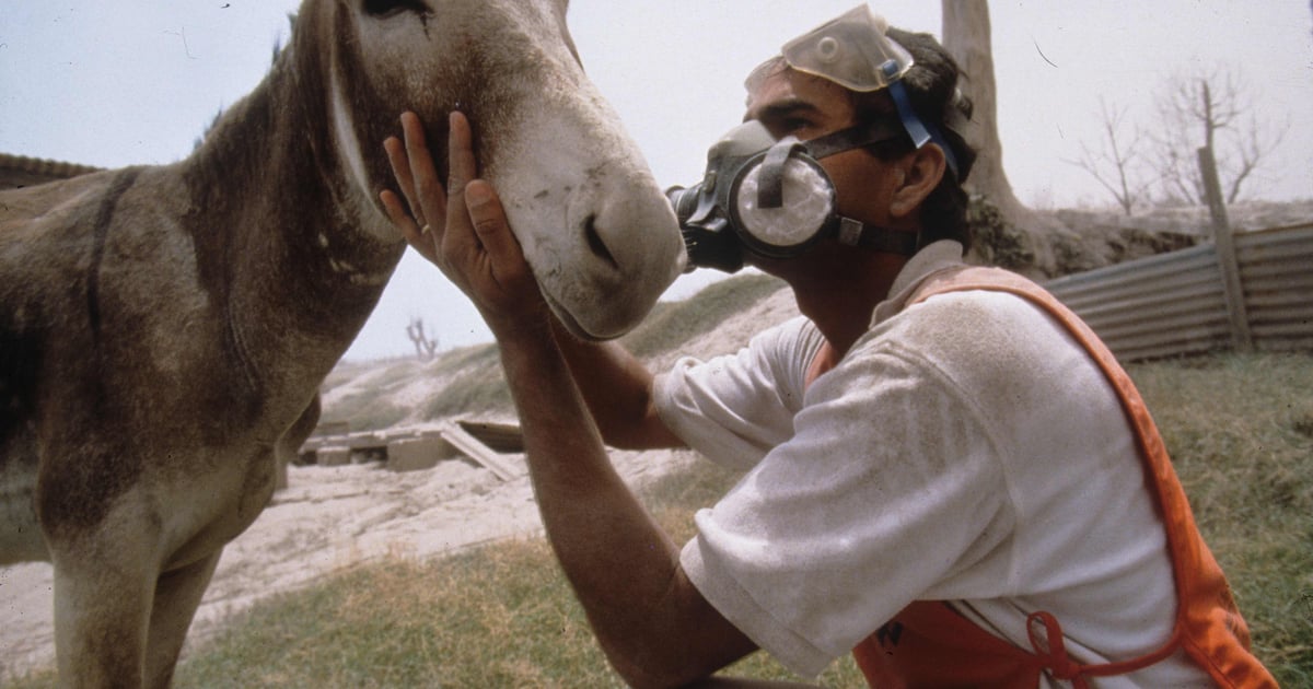 Discover 50 years of disaster response