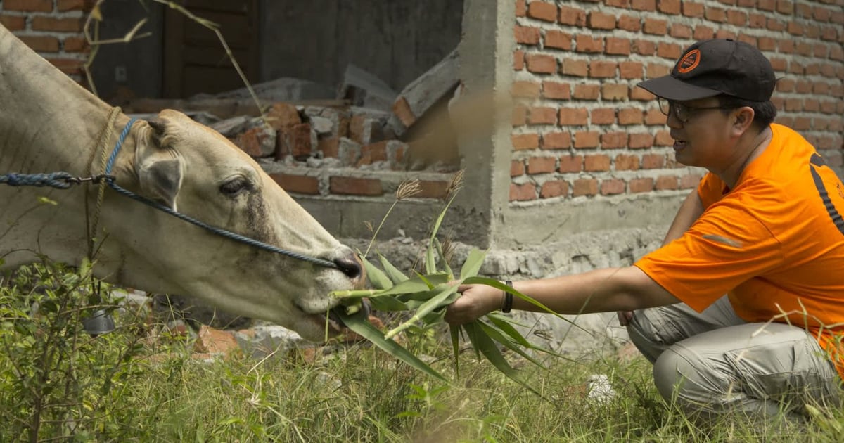 Fundraise for us and move the world for animals everywhere