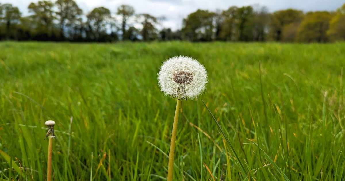 Higher-welfare farming is the farming of the future