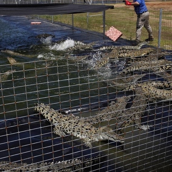 London Fashion Week | World Animal Protection UK