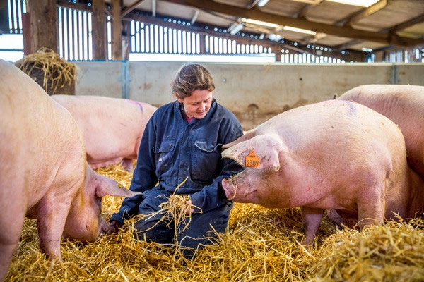 A gift in your Will | World Animal Protection UK